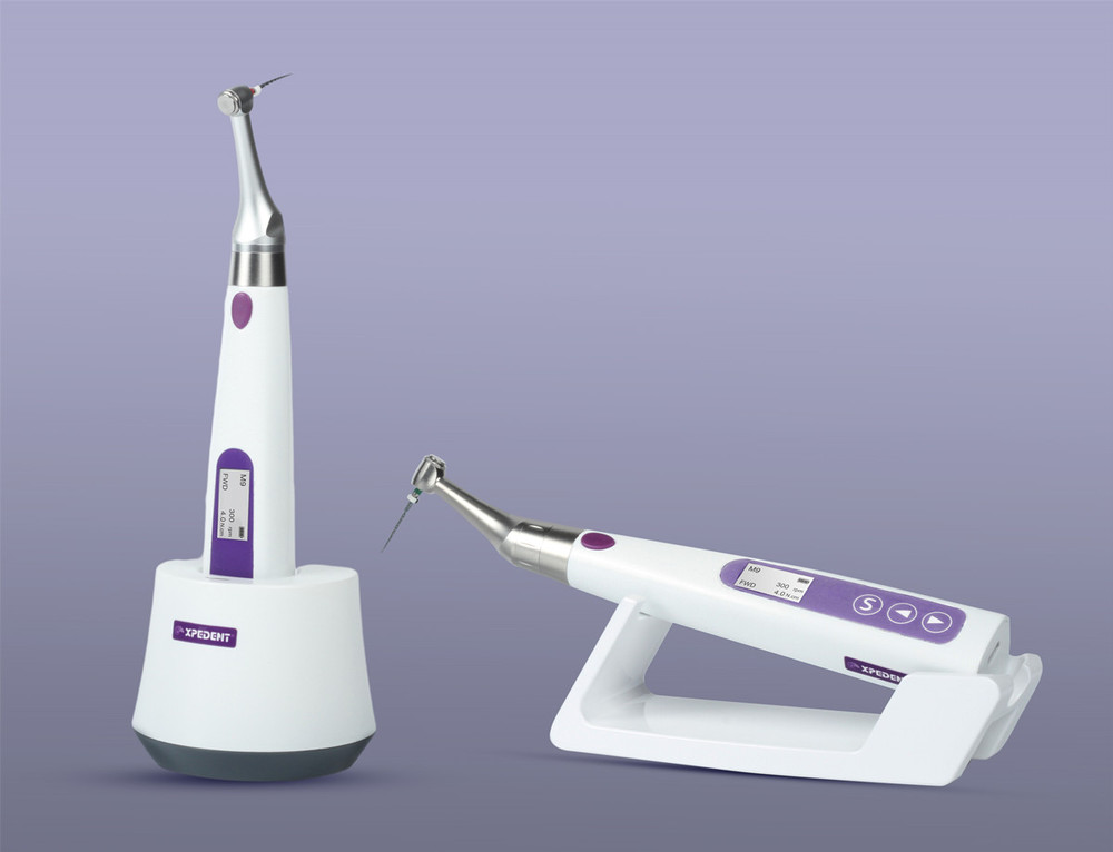 Endo Motor - Xpedent international