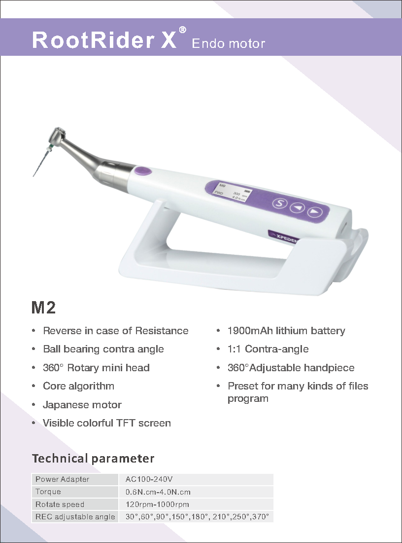 Endo Motor - Xpedent international